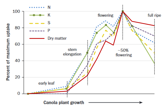 Soil Nutrient Management for Canola - MSU Extension Soil Fertility ...